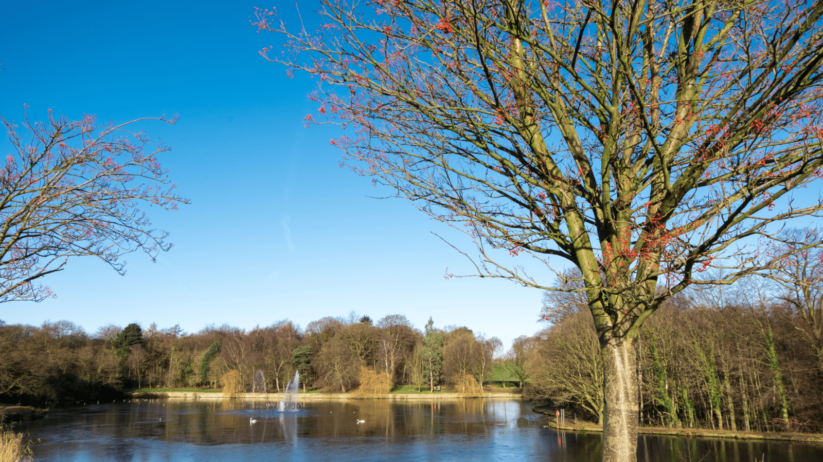 Stay in Leeds - PureStay